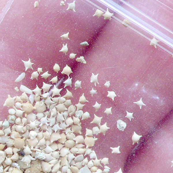 Star Sands from Okinawa Japan | Beach Sand in Star Shaped | Kawaii UV ...