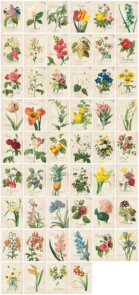 Vintage Floral Stickers / Antique Flower Label Sticker (52pcs) Home De ...